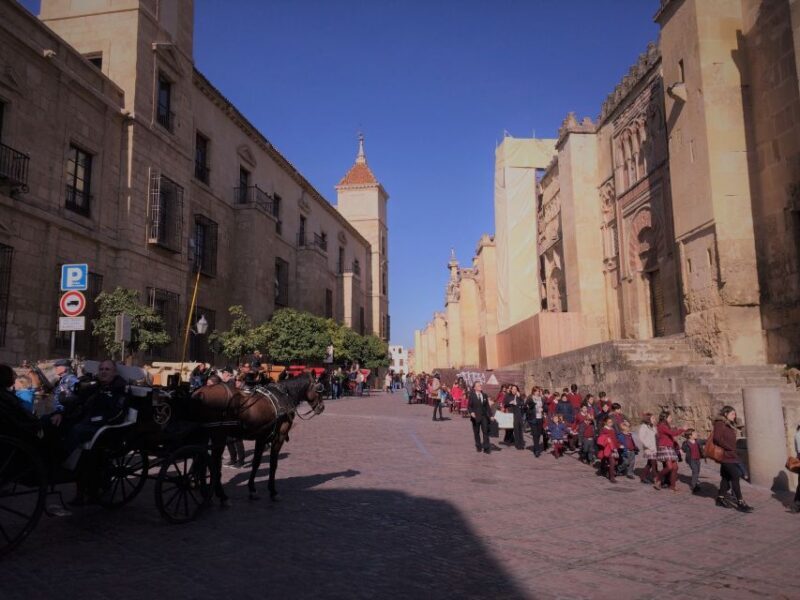 From Seville: Cordoba, the Mosque and Carmona Day Trip - The Sum Up: Is It Worth It?