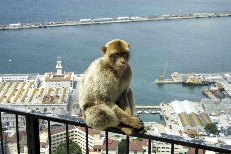 From Seville: Day Trip to Gibraltar - Key Points