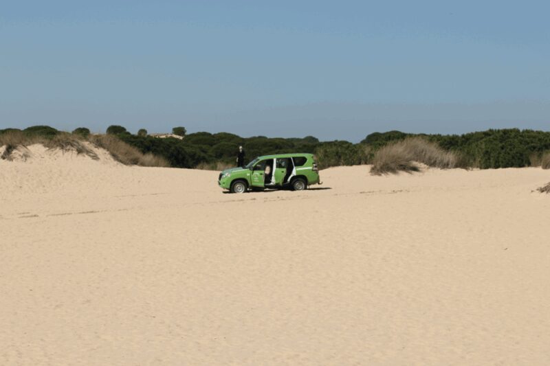 From Seville: Doñana, El Rocio, and Matalascañas Beach Tour - Key Points