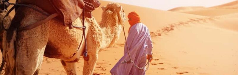 From Seville: Full-Day Tour to Tangier - Practical Tips for the Tour