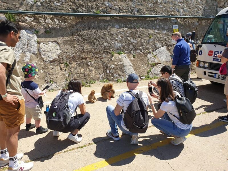 From Seville: Full-Day Trip to Gibraltar - Reviews and Real-World Insights