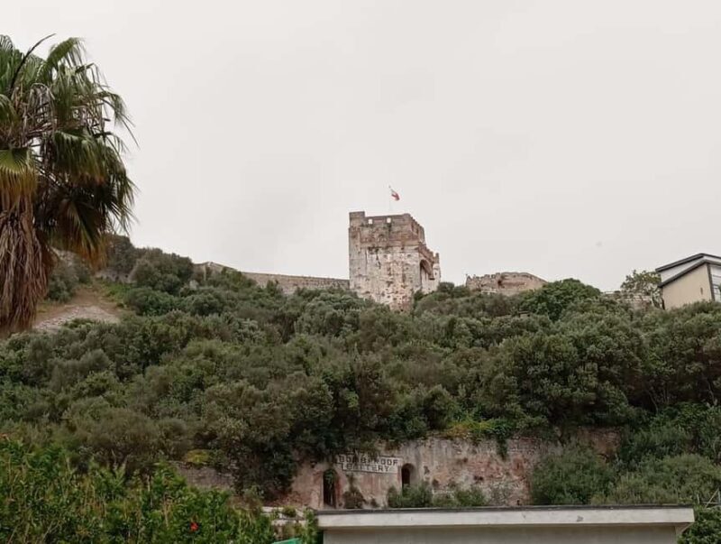From Seville: Gibraltar Day Trip - Key Points