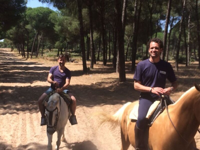 From Seville: Horseback Riding Experience in Aljarafe - An Overview of the Experience