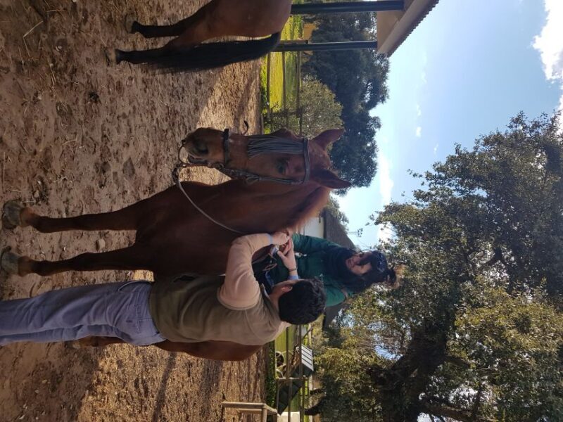 From Seville: Horseback Riding Experience in Aljarafe - The Itinerary in Detail