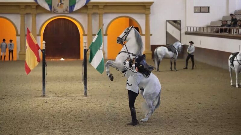 From Seville: Jerez, Cádiz and Andalusian Horses - Seamless Pickup and Comfortable Transportation