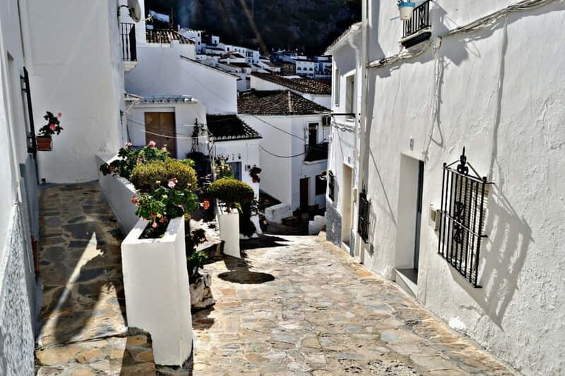 From Seville: White Villages and Ronda private day trip - Discover the Beauty of Andalusia’s White Villages and Ronda on a Private Day Trip from Seville