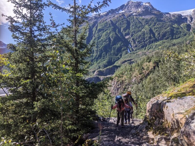 From Seward: 6-hour Wilderness Hiking Tour - Key Points