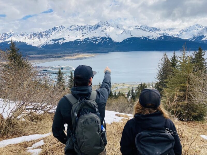 From Seward: 6-hour Wilderness Hiking Tour - Setting the Scene for Your Seward Wilderness Hike