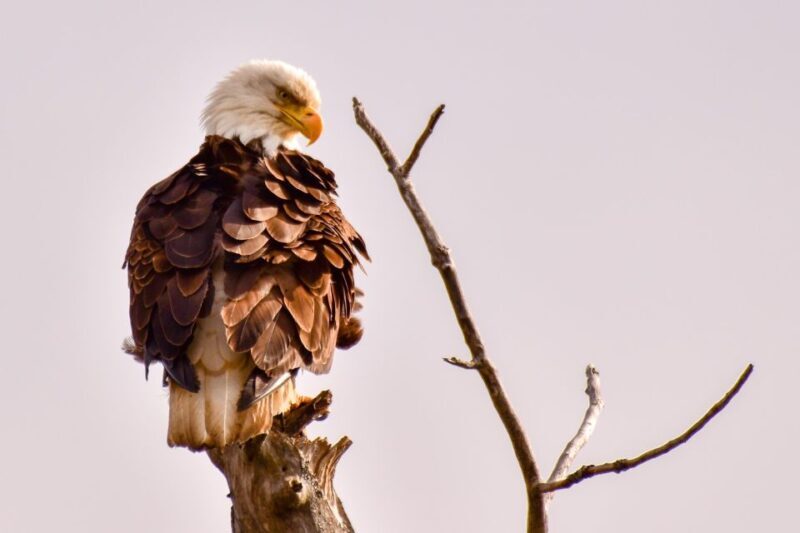 From Seward: 6-hour Wilderness Hiking Tour - Price and Value — Is It Worth It?