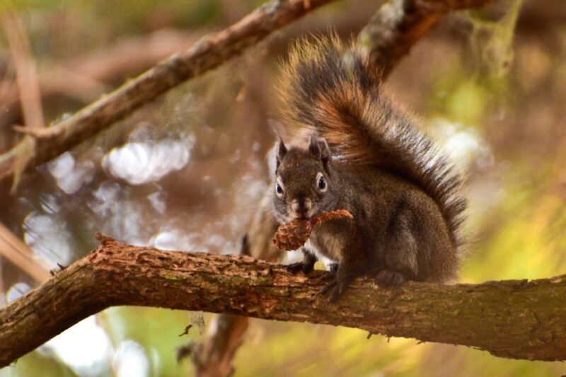 From Seward: 6-hour Wilderness Hiking Tour - Who Should Book This Tour?
