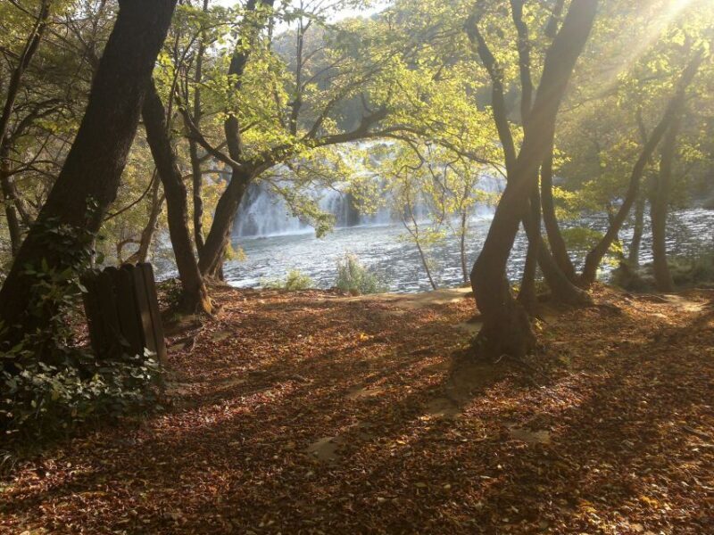 From Sibenik: Private Skradinski buk waterfall in Krka NP - Exploring the Krka National Park