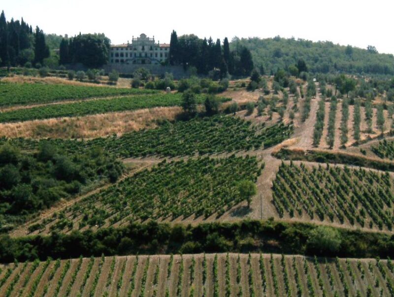 From Siena: Chianti and Castles Tour with Wine Tastings - Practical Details & Tips
