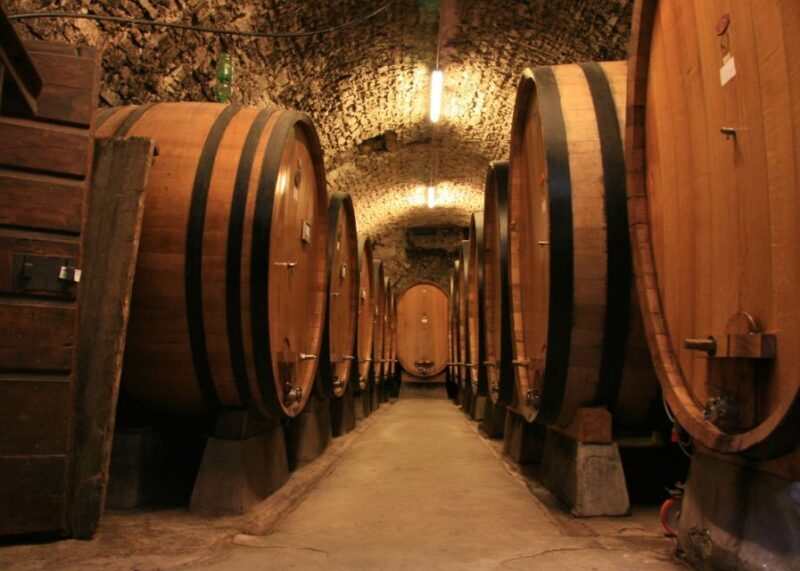 From Siena: Chianti and Castles Tour with Wine Tastings - Who This Tour Is Perfect For