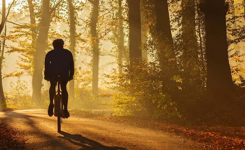 From Siena: Chianti Electric Bike Tour - Key Points  