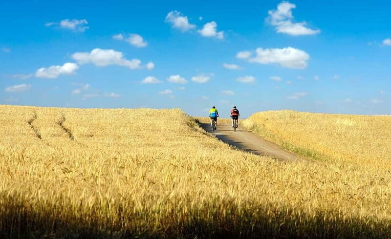 From Siena: Chianti Electric Bike Tour - Final Words  