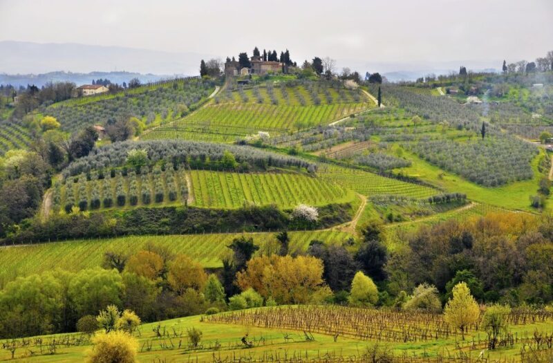 From Siena: Chianti Electric Bike Tour - FAQs  