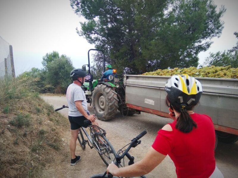 From Sitges: Cycling Tour with Winery visit and Tasting - Final Thoughts: The Perfect Blend of Pedal and Palate