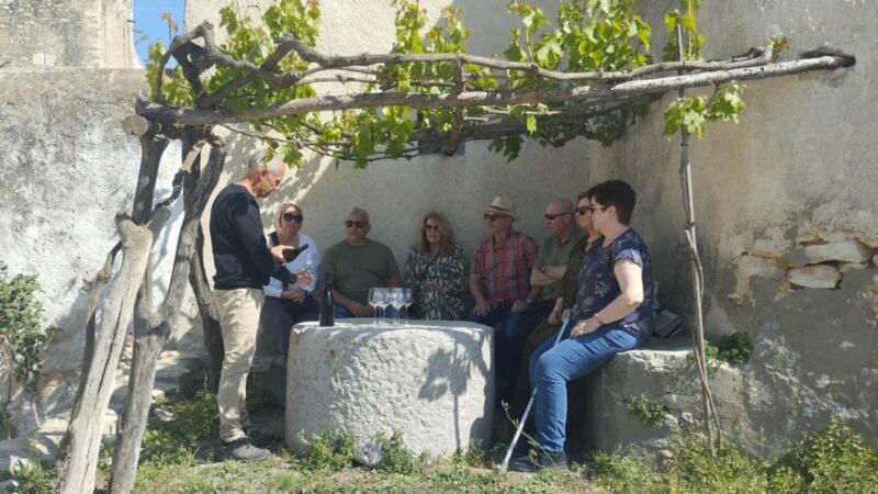 From Sitges: Wine Tasting at 2 Wineries with Hotel Pickup - An In-Depth Look at the Experience