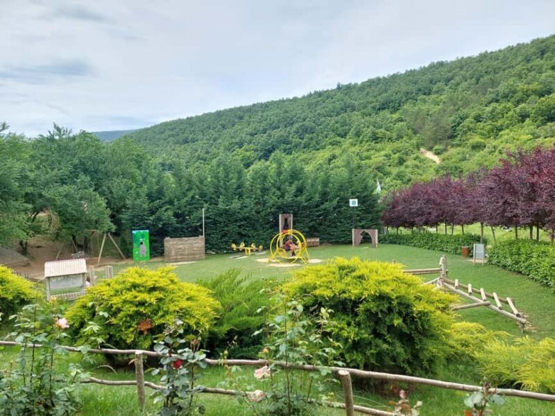 From Skopje: Kosovo in a Day  Prishtina, Monastery & Bears - A Truly Well-Rounded Day