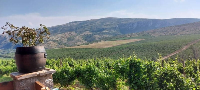 From Skopje: Private Tour of Sopot Winery with Lunch - Practical Tips for Your Tour