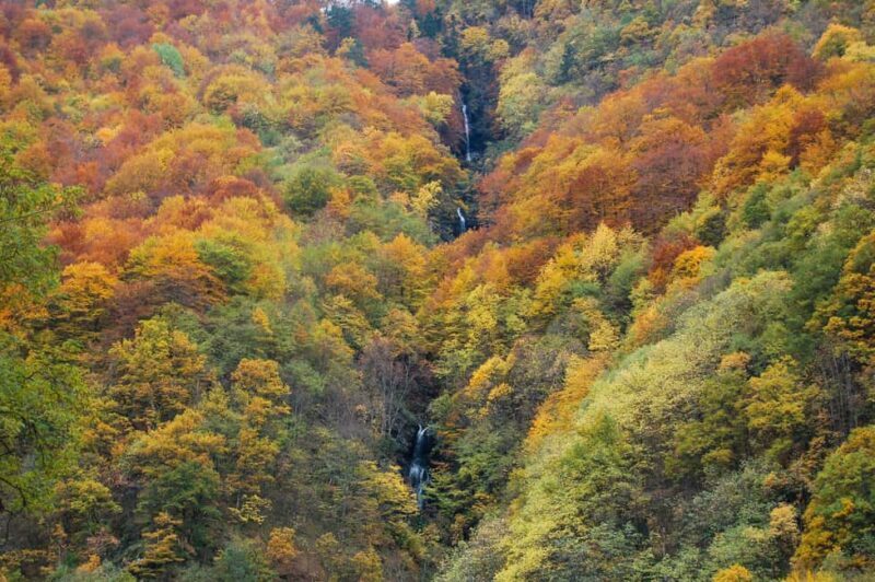 From Sofia: Rila Monastery & Boyana Church Day Tour - Frequently Asked Questions