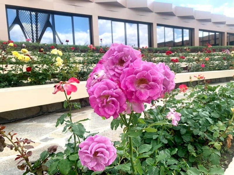 From Sofia: The Rose Valley & Buzludzha Monument Day Tour - FAQs