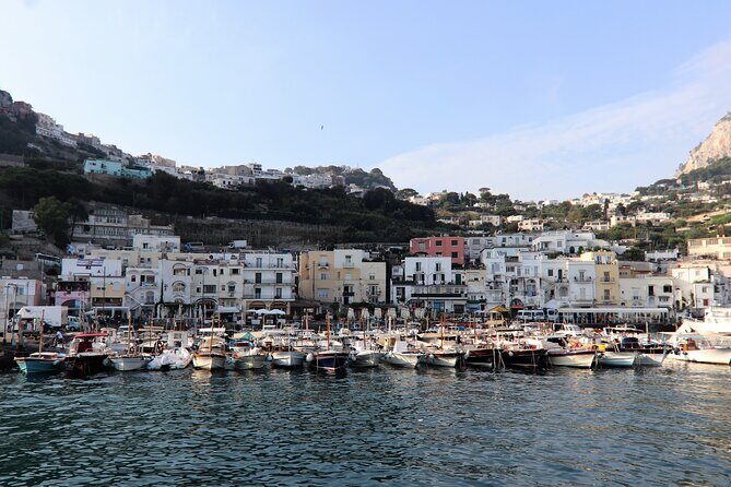 From Sorrento: Capri and Anacapri tour with Faraglioni cruise - The Sum Up