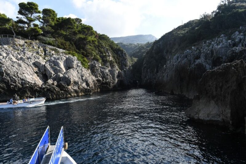 From Sorrento: Day Trip to Capri with Blue Grotto - What Travelers Are Saying: Authentic Perspectives