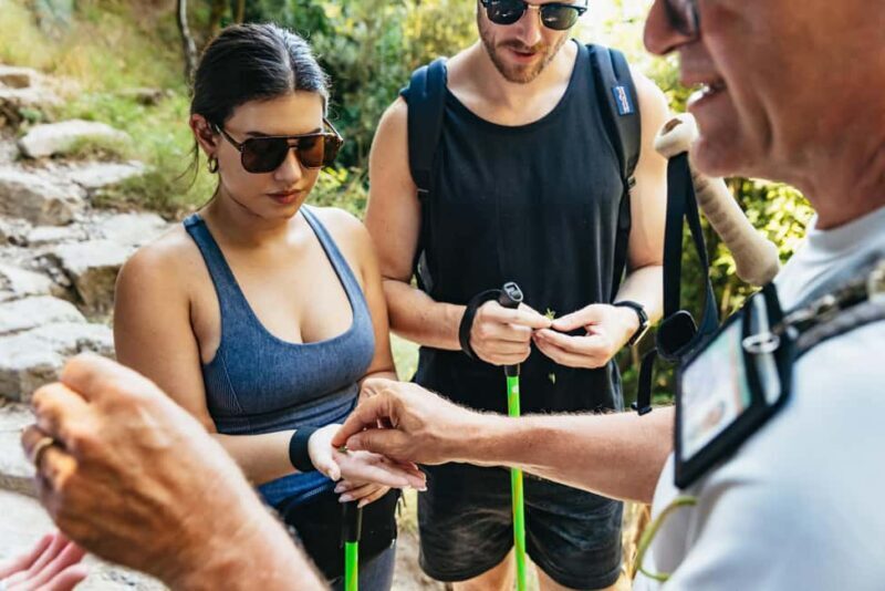 From Sorrento: Path of the Gods Guided Hike with Transfers - The Return Journey