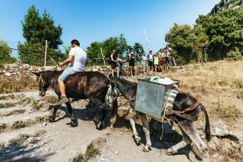 From Sorrento: Path of the Gods Guided Hike with Transfers - The Value for Money