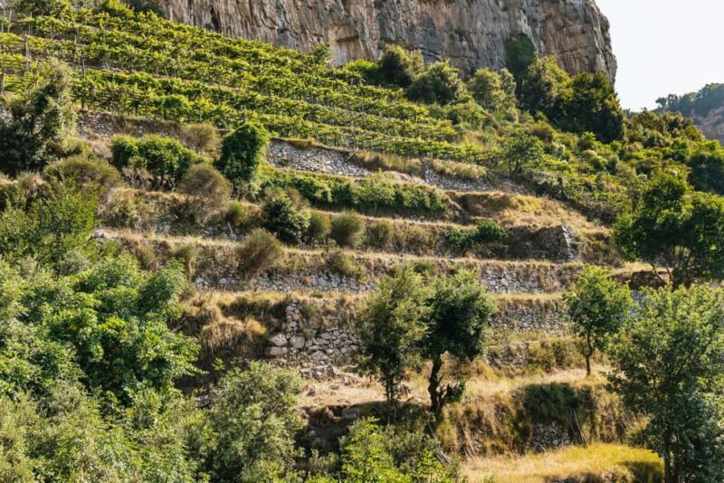 From Sorrento: Path of the Gods Guided Hike with Transfers - Transportation and Timing