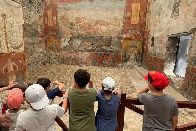 From Sorrento: Pompeii and Mount Vesuvius Day Trip with Guide - Who Will Love This Tour?