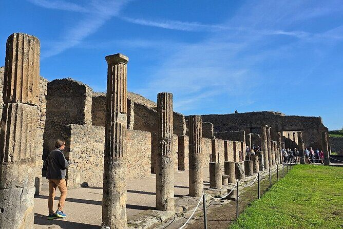 From Sorrento: Pompeii and Mount Vesuvius Day Trip with Guide - Final Thoughts