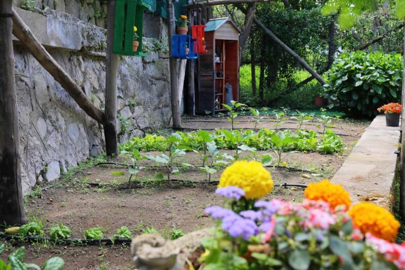 From Sorrento to Meta: cook with a local family and enjoy the garden!! - Key Points