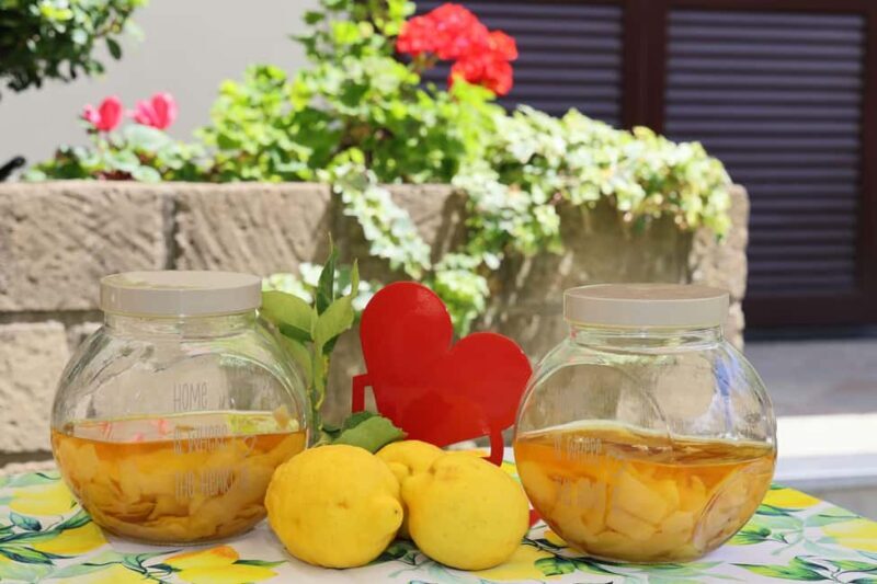 From Sorrento to Meta: cook with a local family and enjoy the garden!! - Final Thoughts: Who Should Sign Up?
