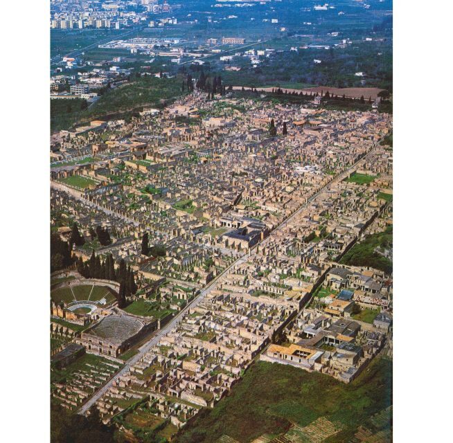 From Sorrento:Skip-the-line Pompeii Ruins All-inclusive Tour - What to Expect from This Tour