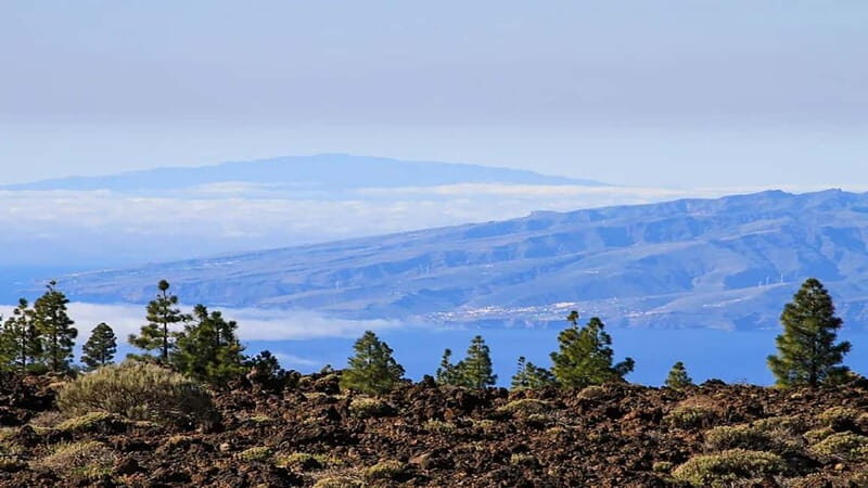 From South Tenerife: Half-Day Tour to Mount Teide - Insights from Reviewers