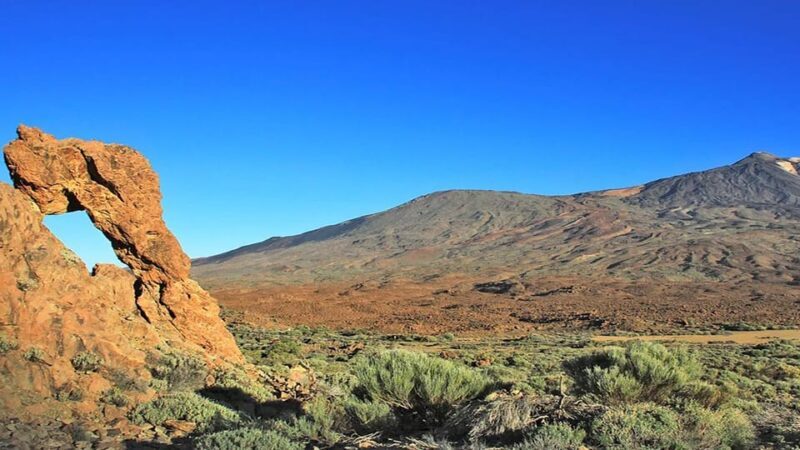 From South Tenerife: Half-Day Tour to Mount Teide - Practical Tips for Travelers