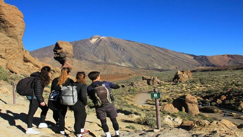 From South Tenerife: Half-Day Tour to Mount Teide - FAQs