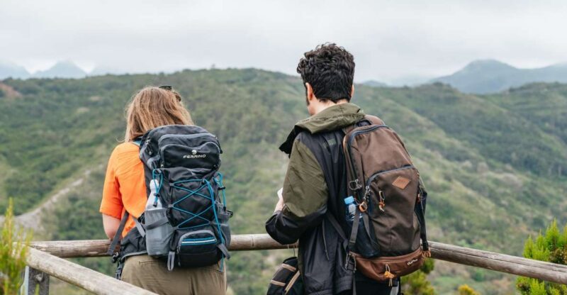 From South Tenerife: La Gomera Island Day Trip with Lunch - Key Points