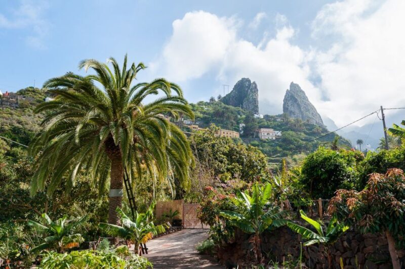 From South Tenerife: La Gomera Island Day Trip with Lunch - FAQs