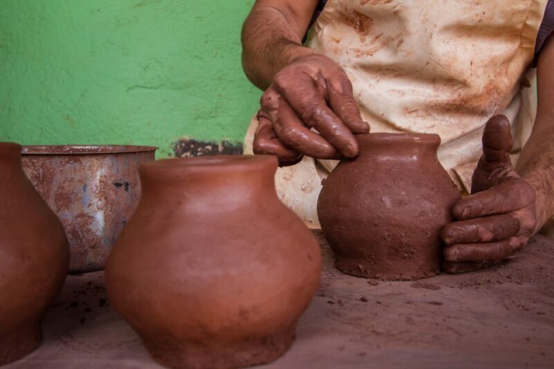 From South Tenerife: VIP Gomera Tour - Discovering Traditional Villages