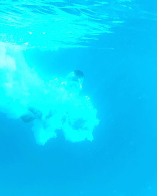 From Split: Blue Lagoon & 2 Islands half-day Private - Real Experiences and Honest Insights from Reviewers