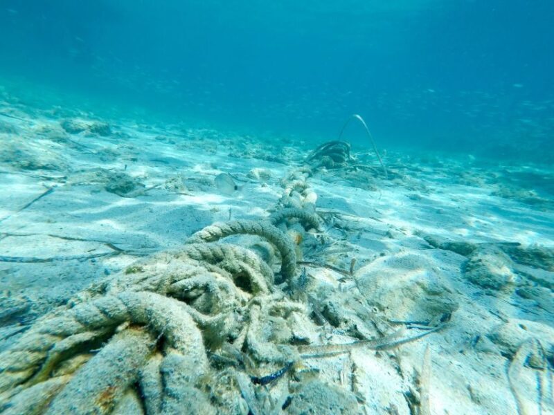 From Split: Blue Lagoon & Trogir Boat Trip with Snorkeling - Who Will Love This Tour?