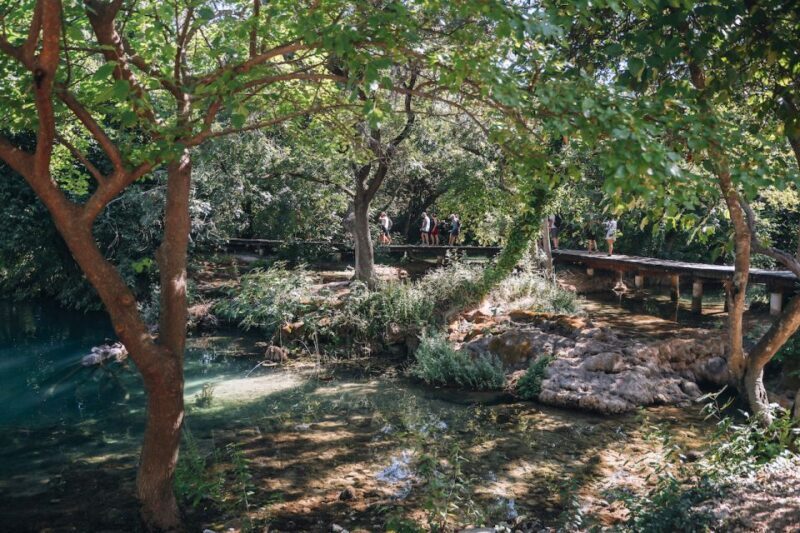 From Split: Krka Waterfalls Tour with Boat Cruise & Swimming - Free Time and Water Fun in Skradin