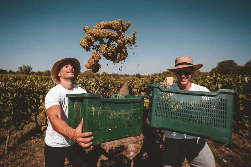 From Split: Krka Waterfalls with Wine & Cheese Tasting Tour - Exploring Krka National Park