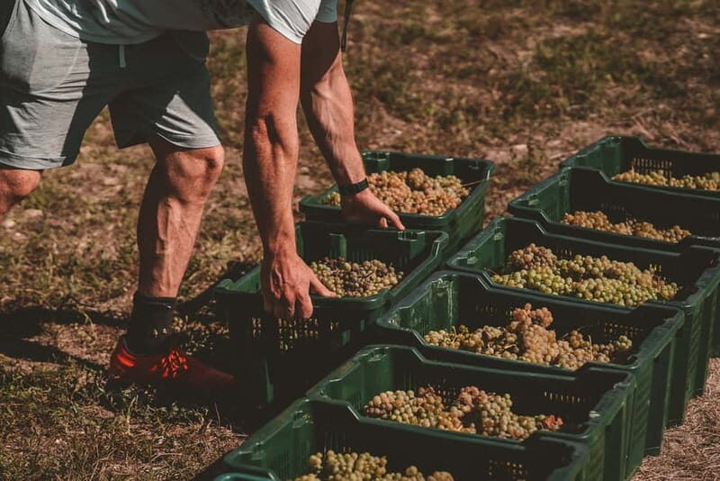 From Split: Krka Waterfalls with Wine & Cheese Tasting Tour - Practical Details and Value