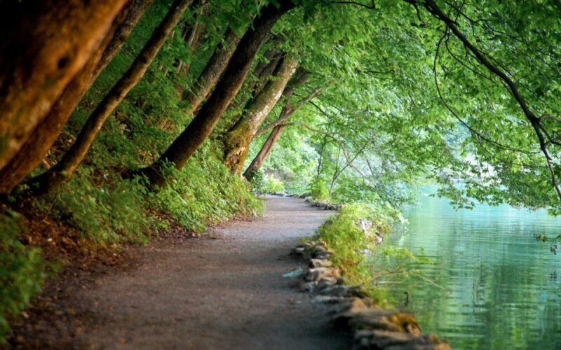 From Split or Trogir: Plitvice Lakes Guided Tour - Scenic Highlights: Lakes, Waterfalls, and More