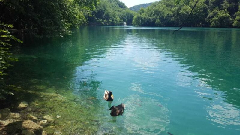 From Split or Trogir: Plitvice Lakes Trip with Entry Ticket - Authentic Experiences and Traveler Feedback