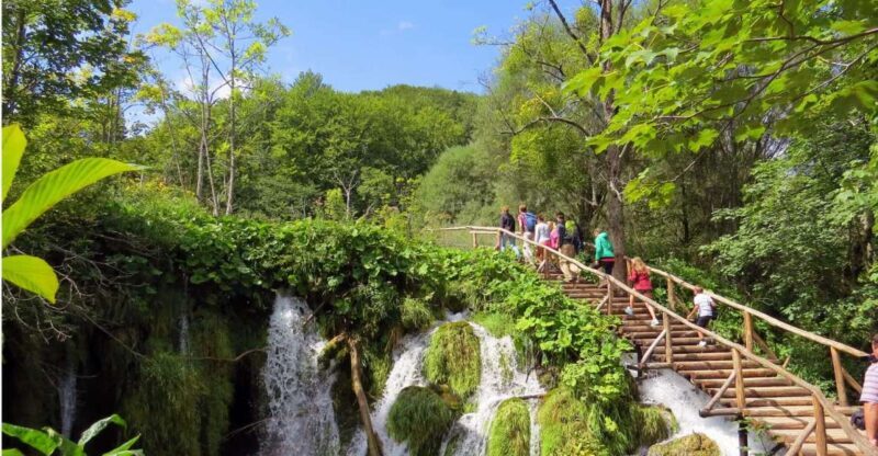From Split: Plitvice Lakes Full-Day Trip - The Experience of the Guides and Transportation